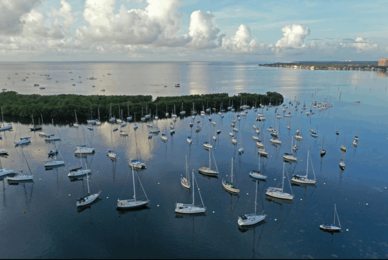 Dinner Key Marina - Coconut Grove | 582 Slips | YachtService