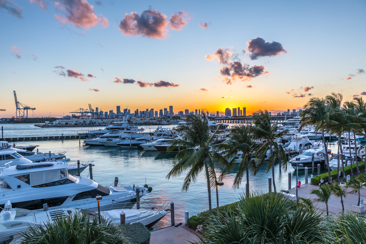 Miami Beach Marina - South Beach | 400 Slips to 250ft